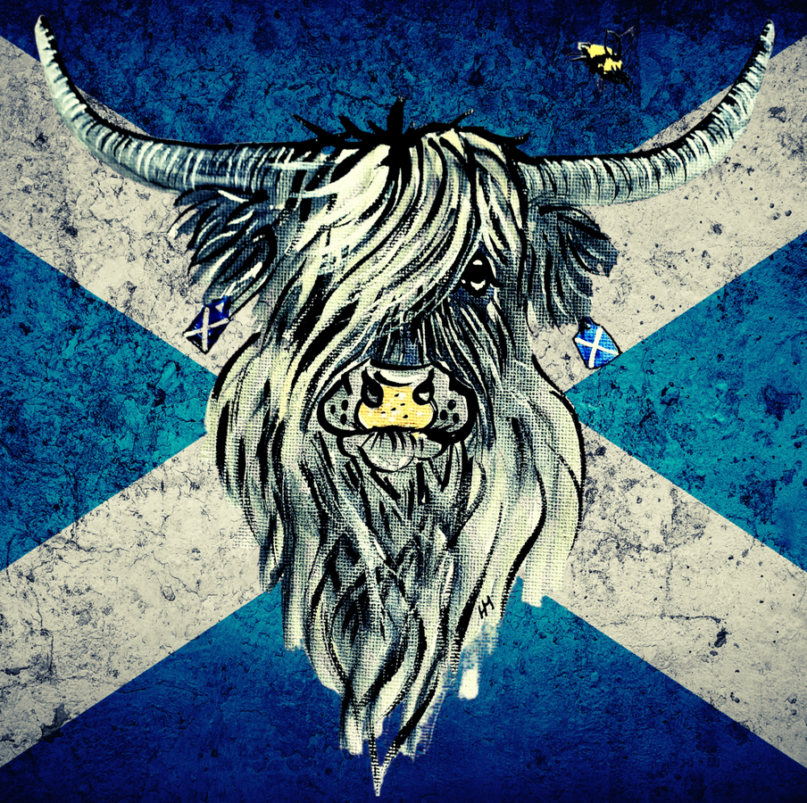 The Wee Book Company 'Scotty' Scottish Highland Cow Coo Saltire Print ...